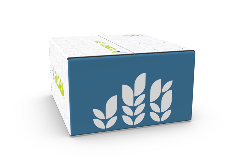 Standard E-Commerce Boxes | VPK Group - Customizable & Versatile Packaging