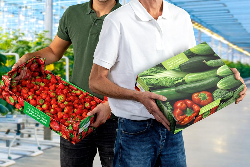 Solid Board: Durable and Strong Packaging Solutions | Smart Packaging ...